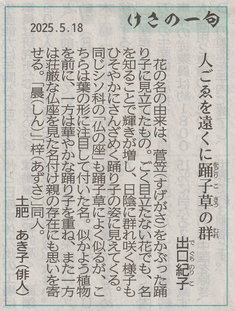 2025年5月: 四季の森