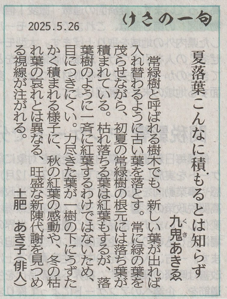 2025年5月: 四季の森